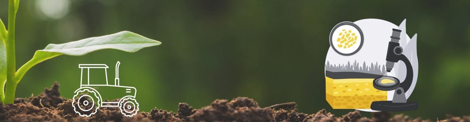 Soil analysis for sustainable soil management