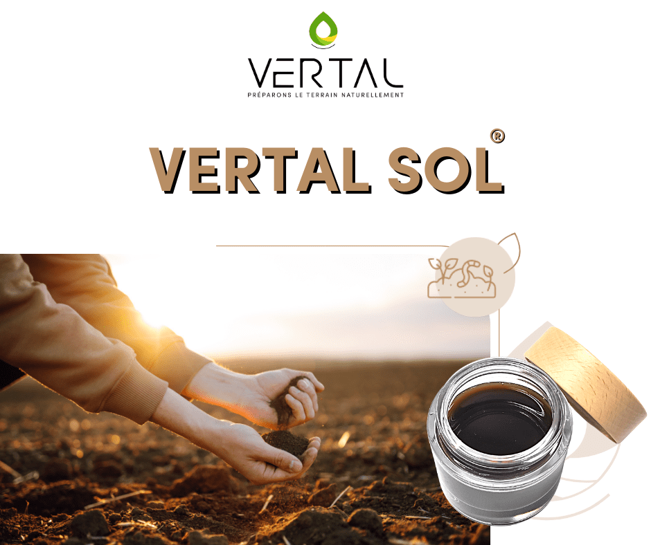 VERTAL SOL