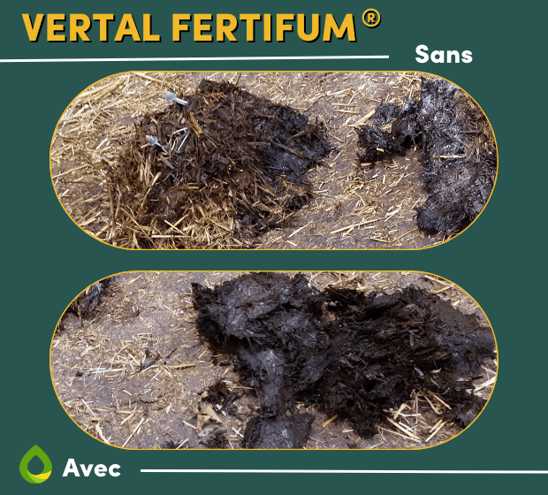 VERTAL FERTIFUM - Activateur de litière