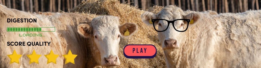 Rumen des ruminants fonctionnement et efficience digestive