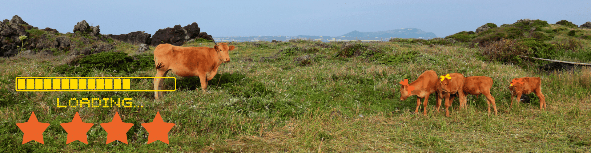Dry Period Management in Dairy Cows for Improved Fertility