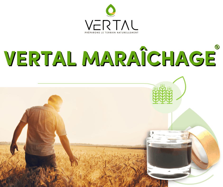 VERTAL MARAÎCHAGE