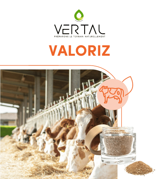 VERTAL VALORIZ | Complementary feed for ruminants