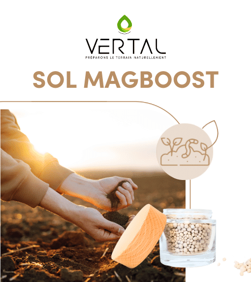 VERTAL SOL MAGBOOST